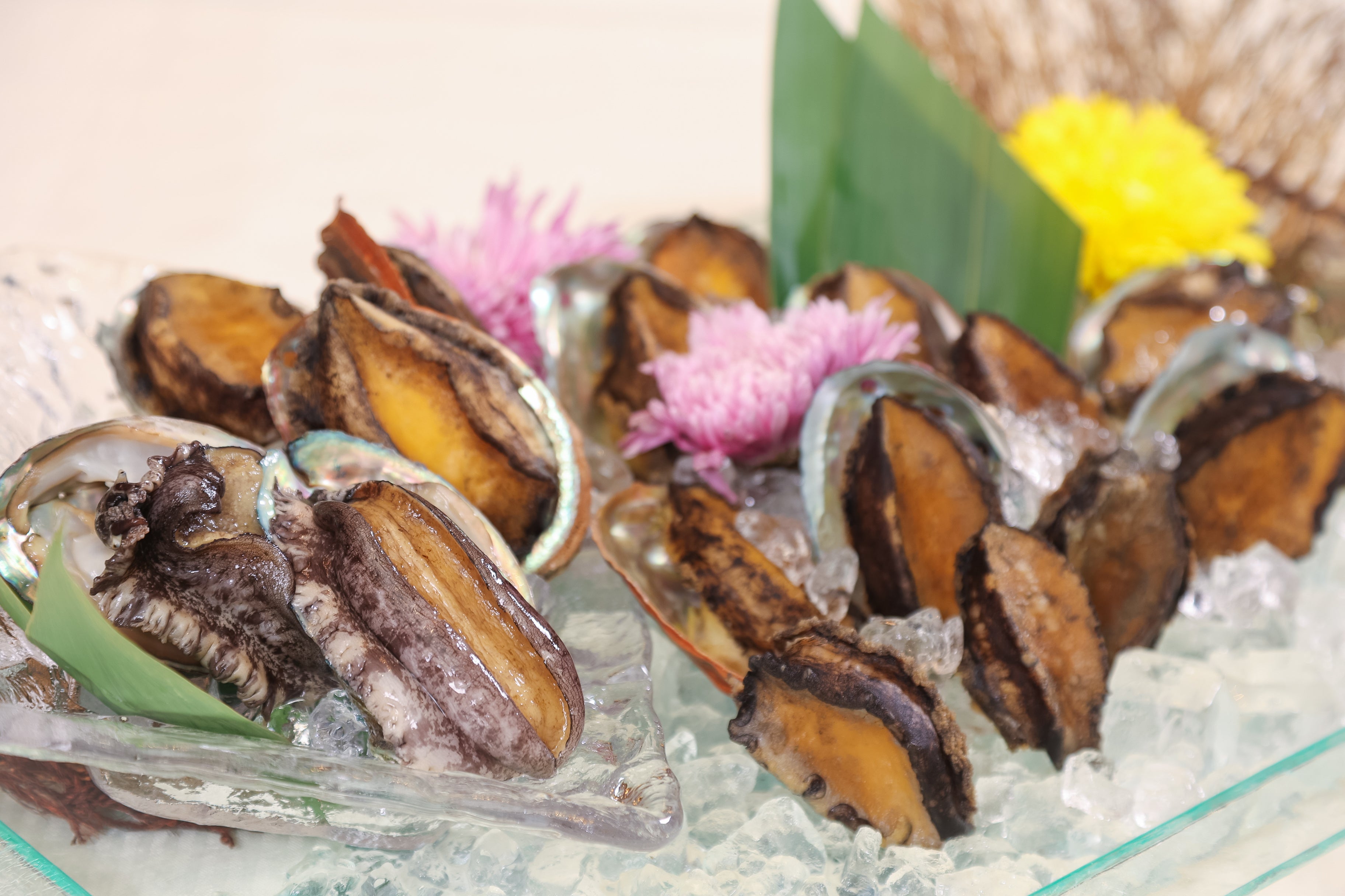 Hokkaido's Funka Bay Ezo Abalone Featured at The Windsor Hotel Toya ...