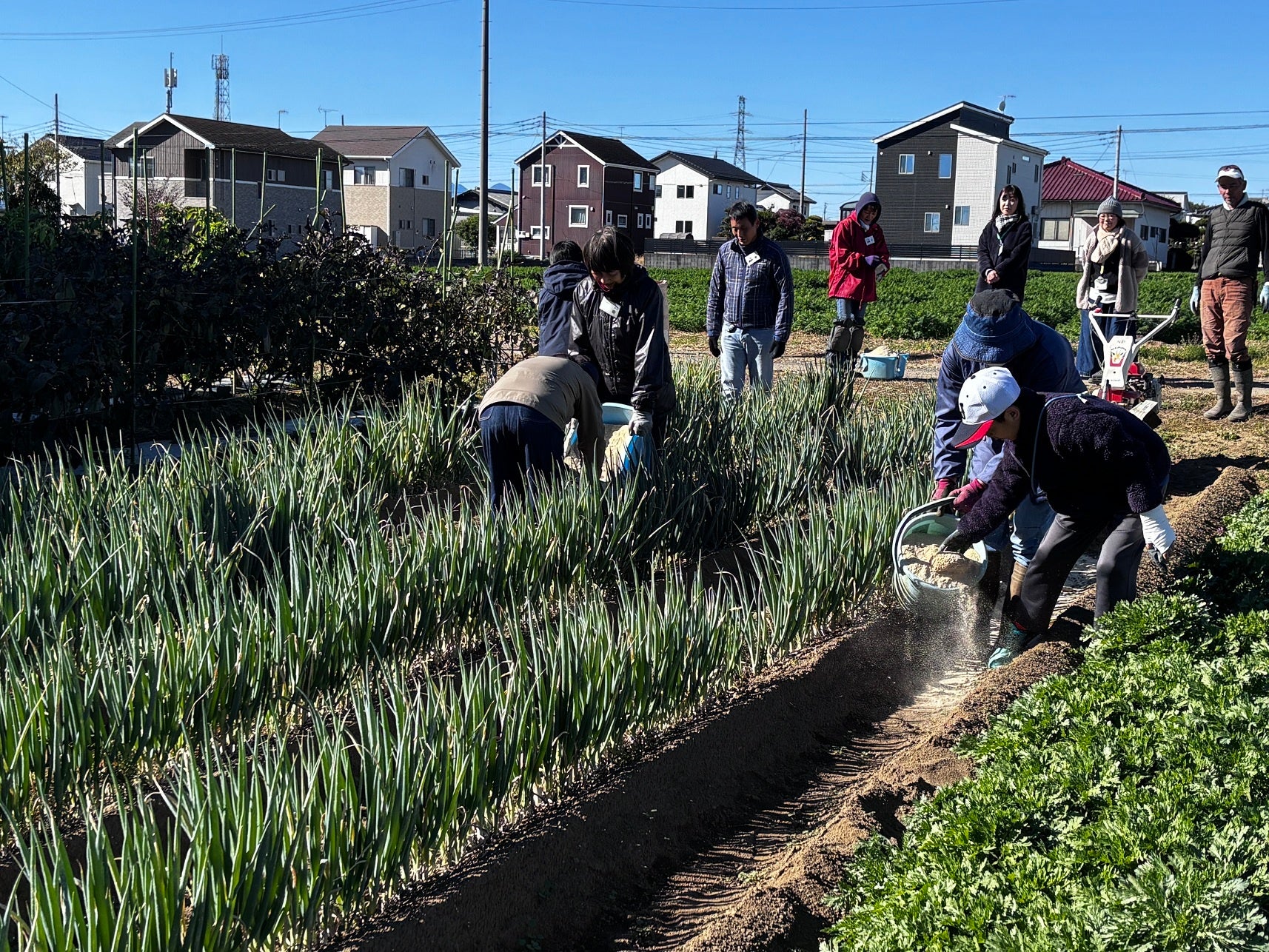 Dele una mordida al negi de Fukaya a la parrilla y conozca a los ...