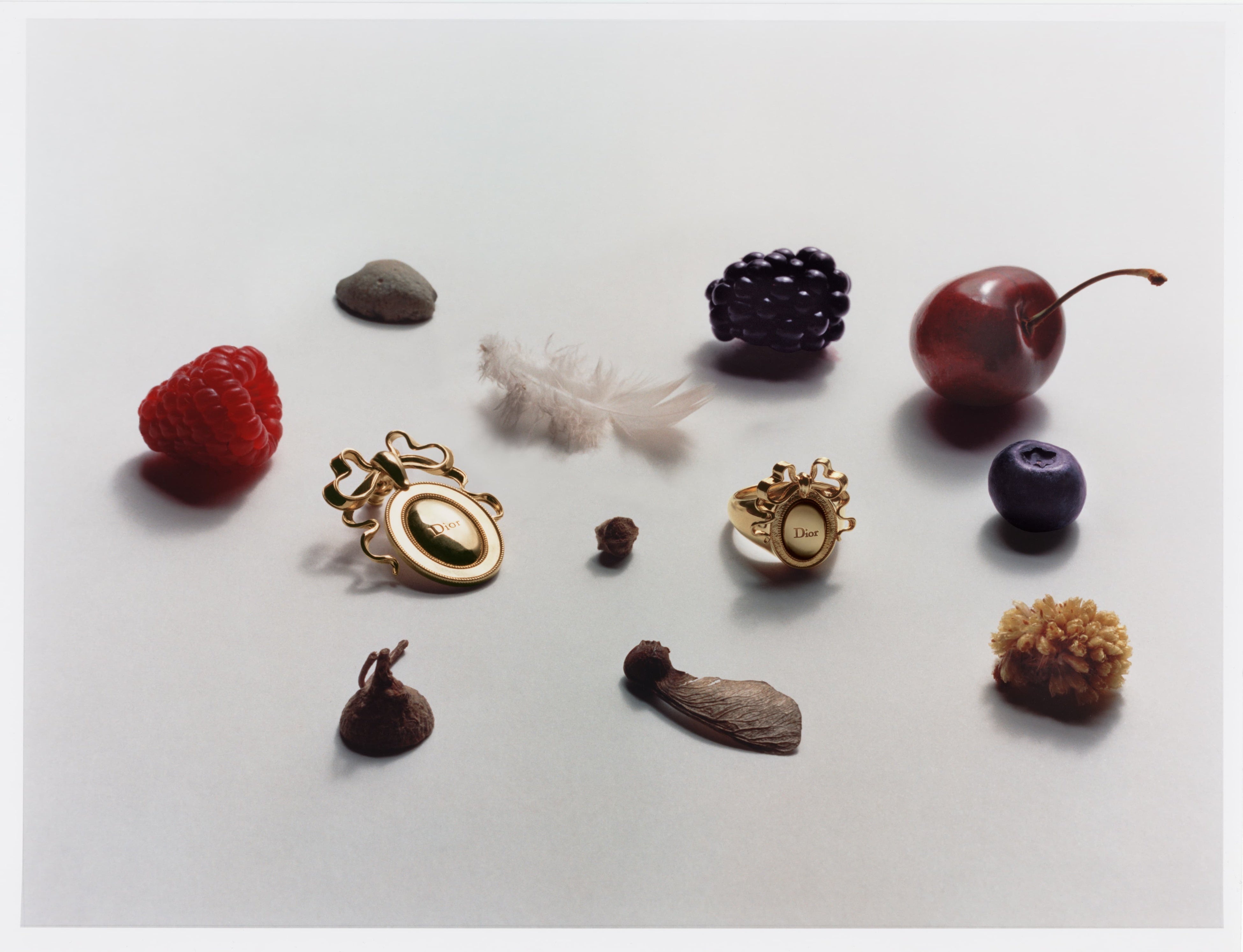 Dior's 2026 Spring/Summer Collection Features "Medallion" Line ...