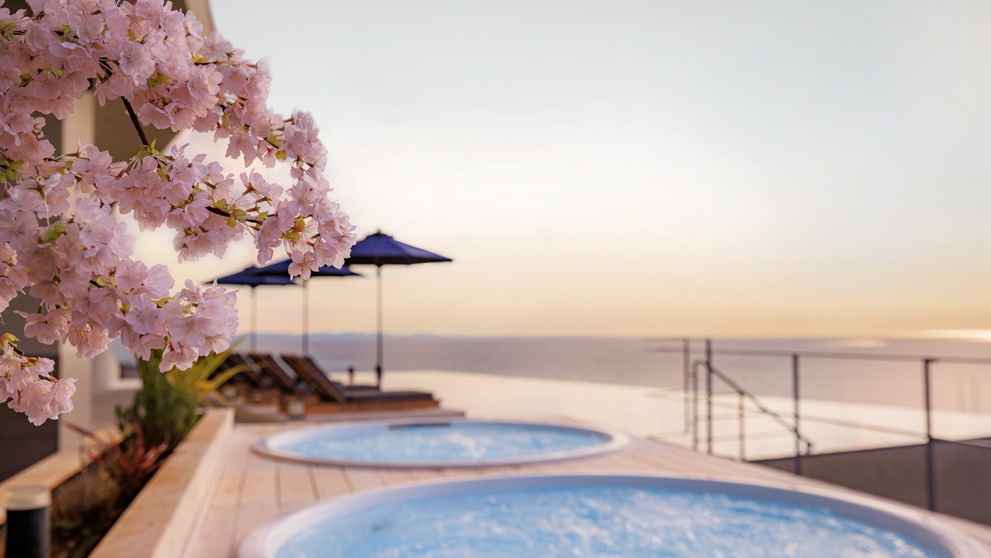 Oiso Prince Hotel Launches Cherry Blossom-Themed Spa Experience "OISO ...