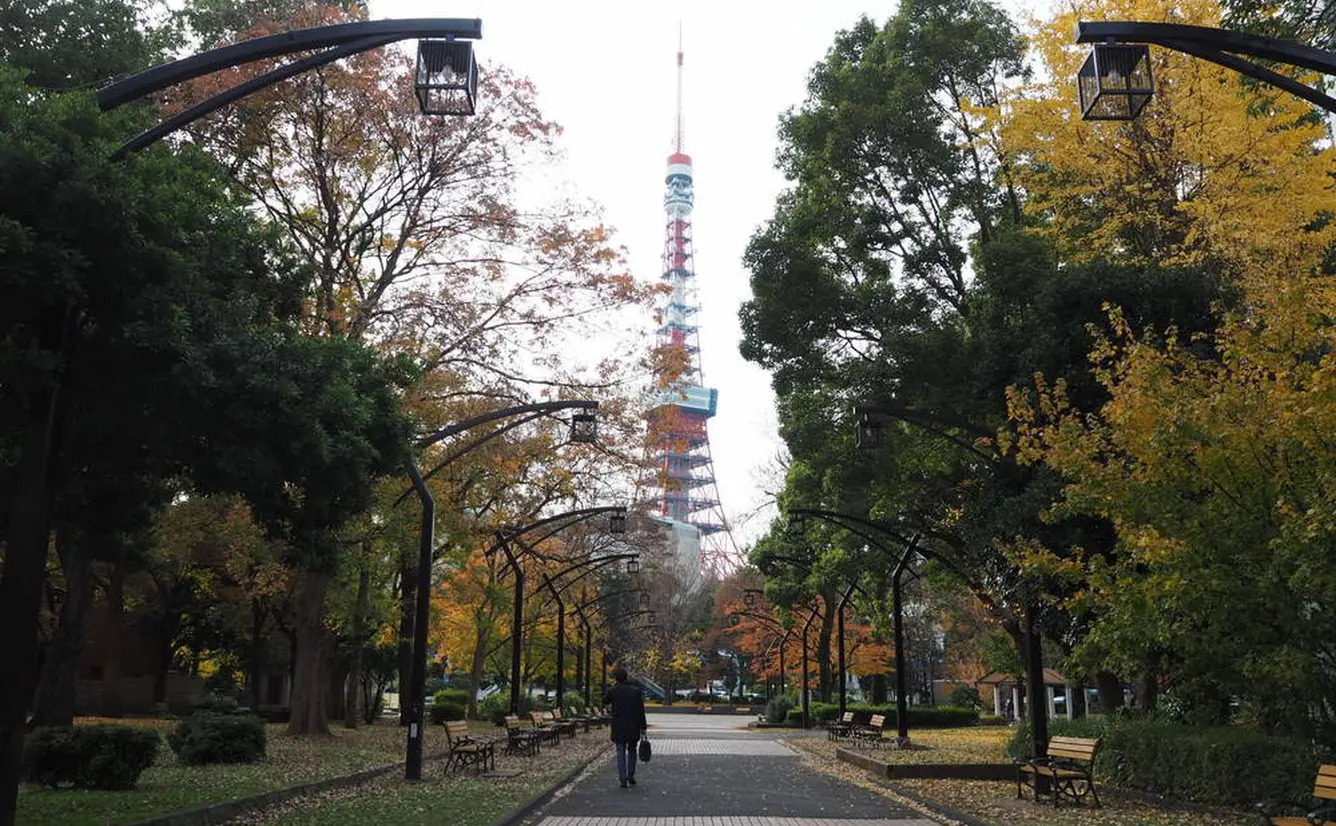 Tokyo in September: Recommended Activities and Spots Unique to the ...