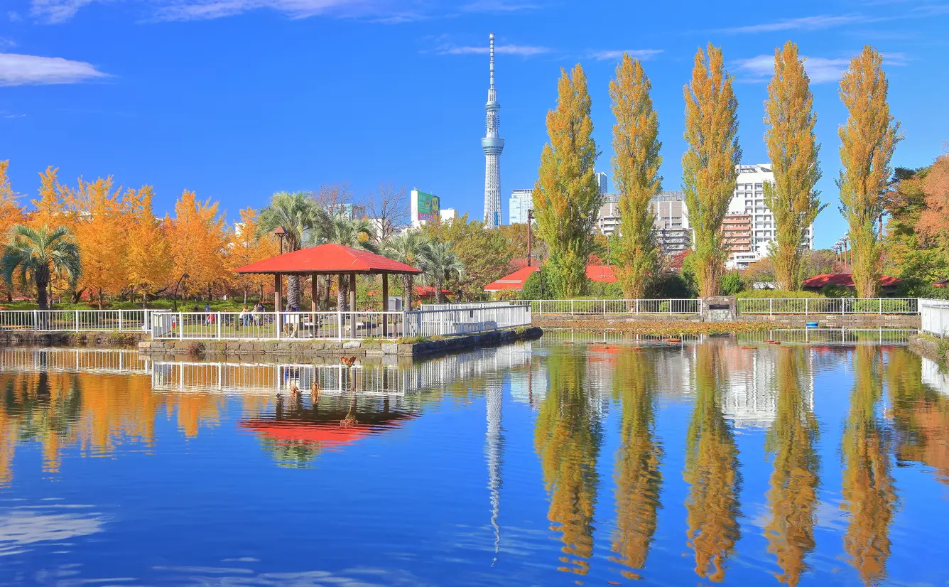 Tokyo in October: Recommended Autumn Foliage and Flower Garden Spots ...