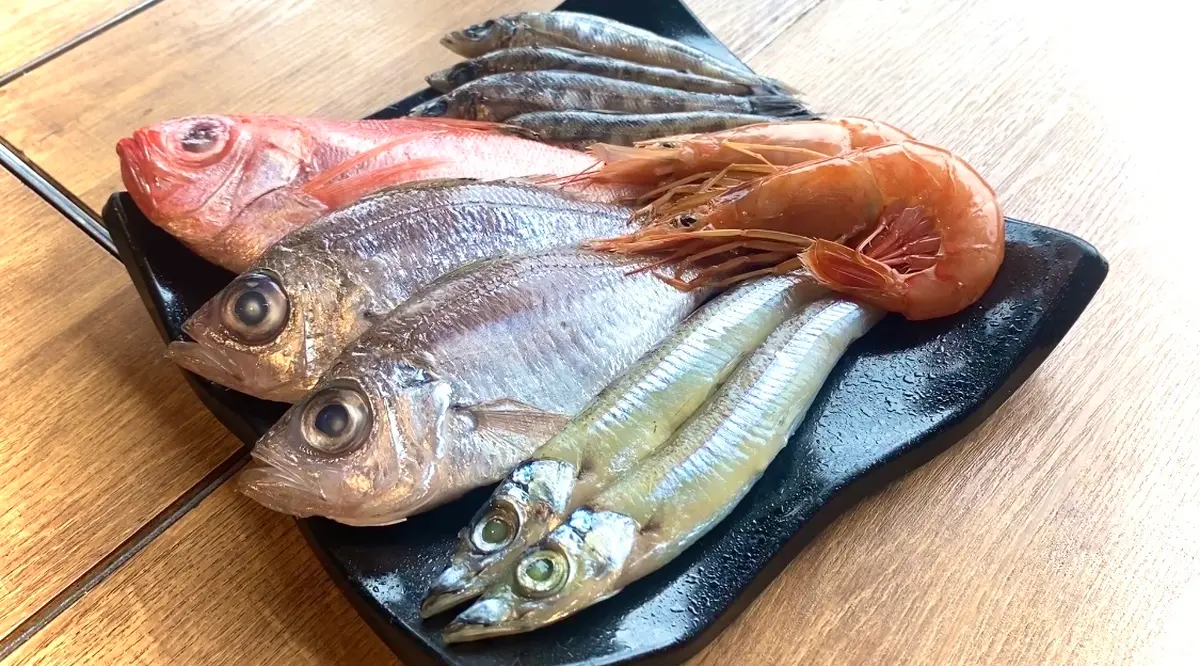 Things to Do in Numazu, Shizuoka: Attracted to deep sea creatures ...