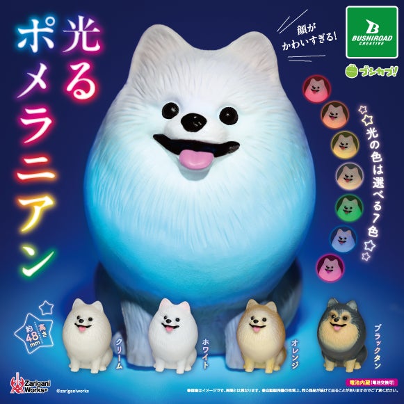 Capsule Toy "Shining Pomeranian" Light-Up Figures Now Available ...