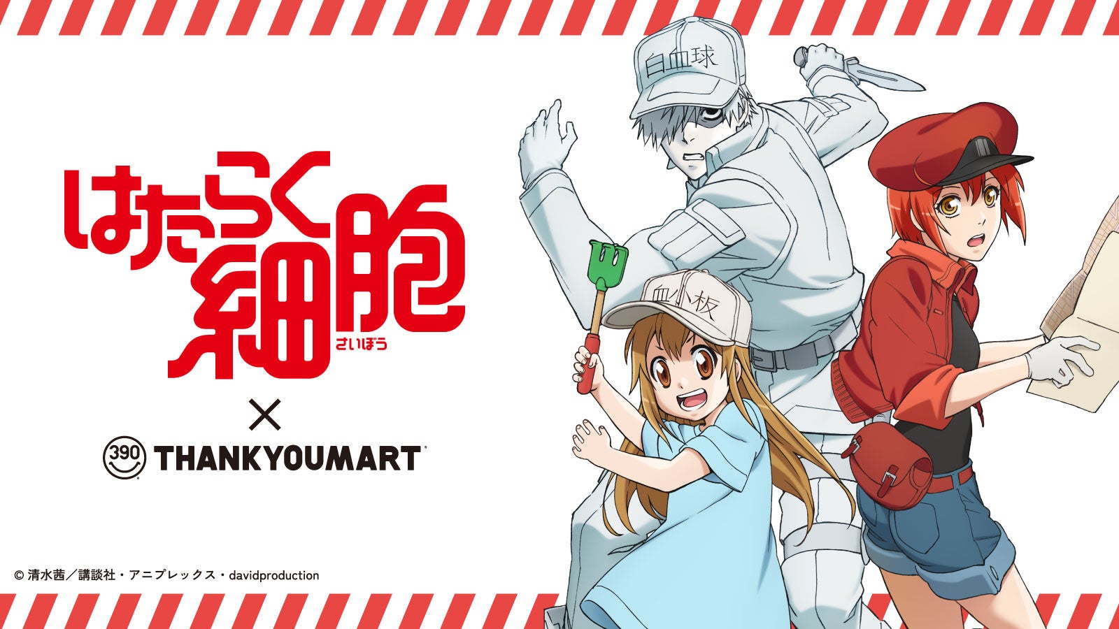 Cells at Work! x THANKYOUMART Collaboration Merchandise Debuts - All ...