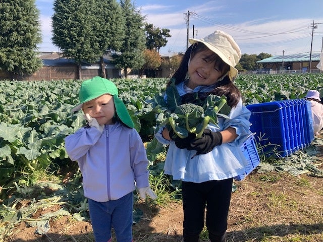 Dele una mordida al negi de Fukaya a la parrilla y conozca a los ...