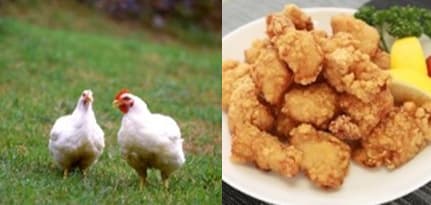 Yamaguchi Prefecture Fair "Week of Blessings" at Nihonbashi Mitsukoshi ...