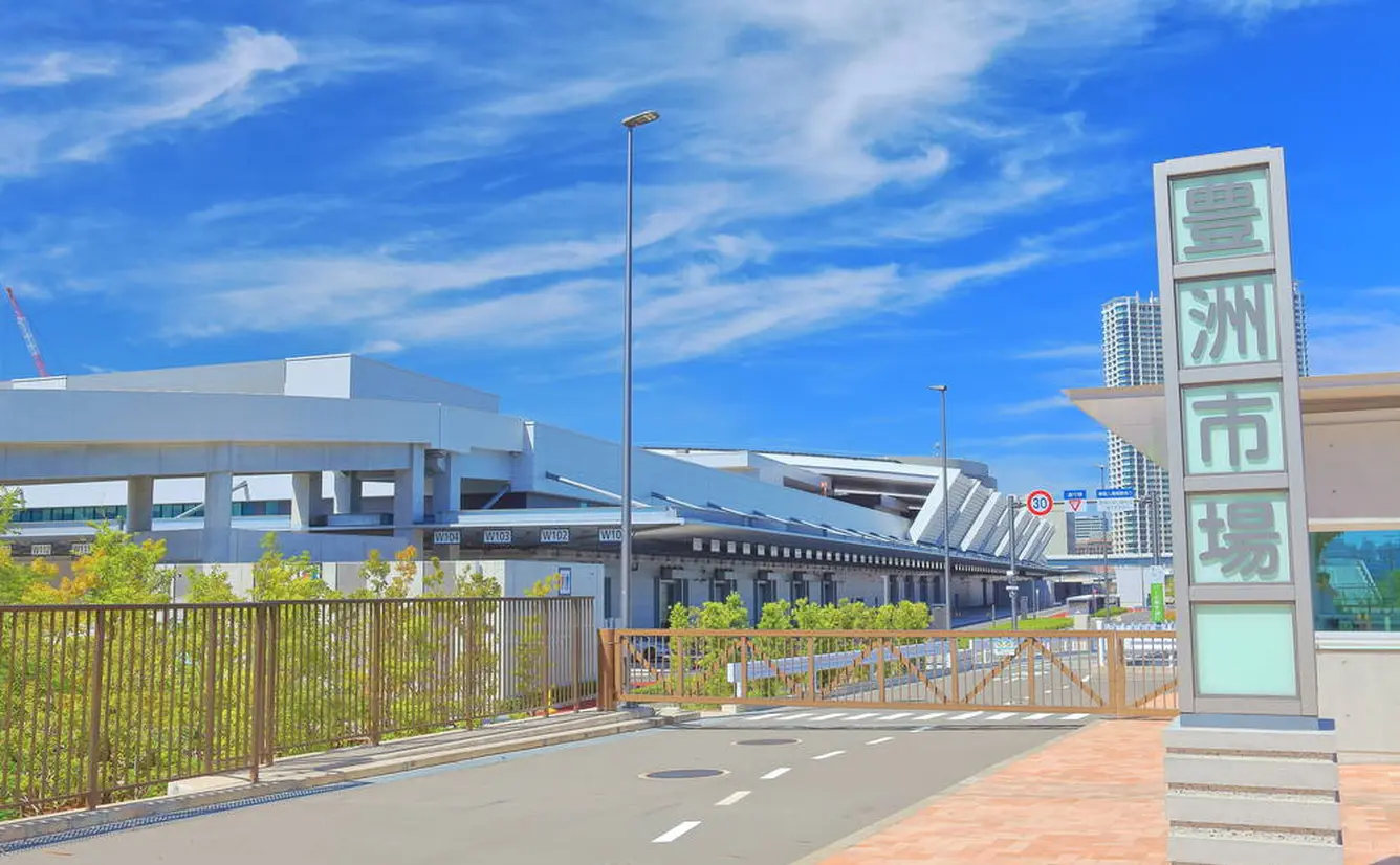 Complete Guide to Toyosu Market : Explore the Best Food, Sightseeing ...